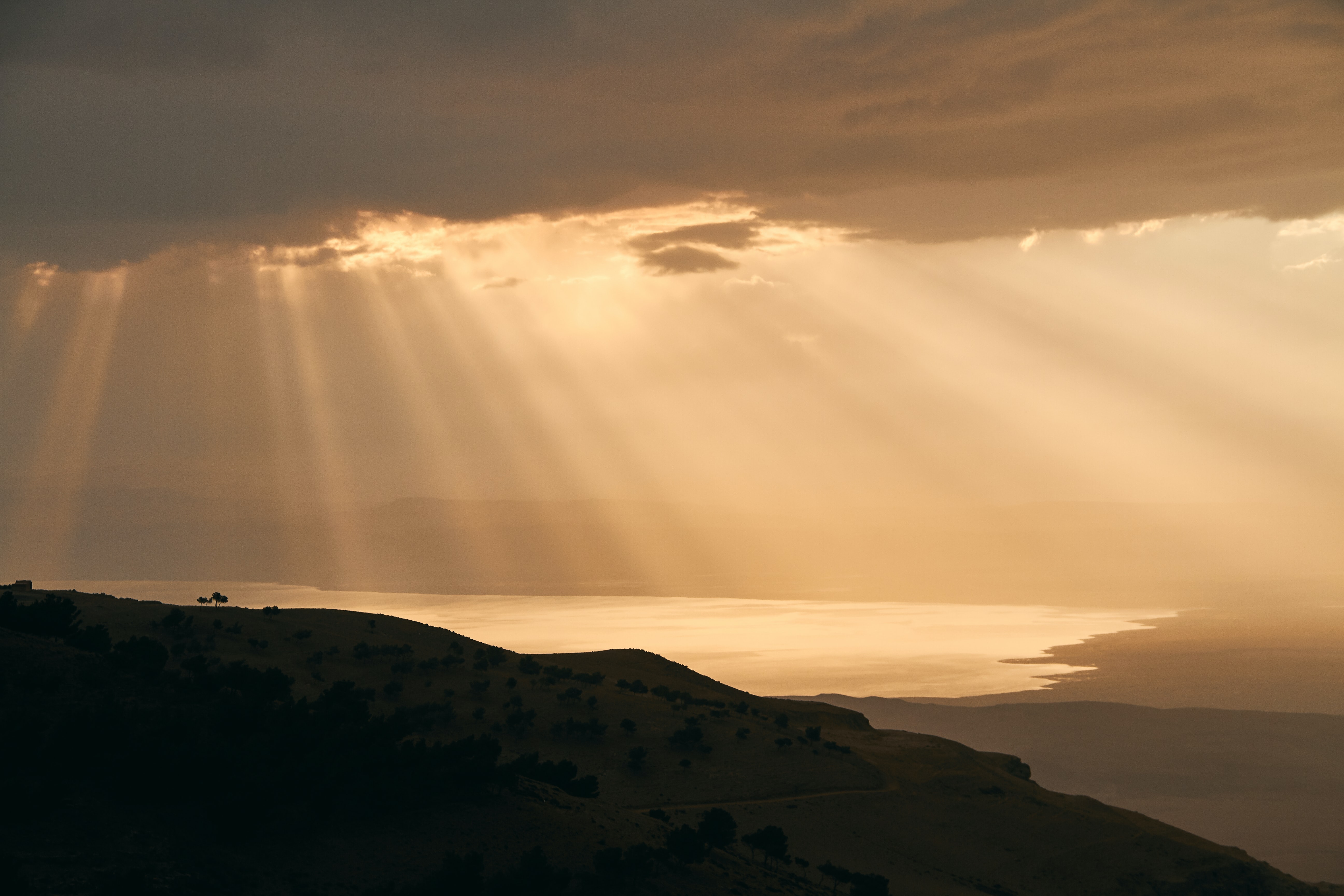 Catalog | Luminant Publications